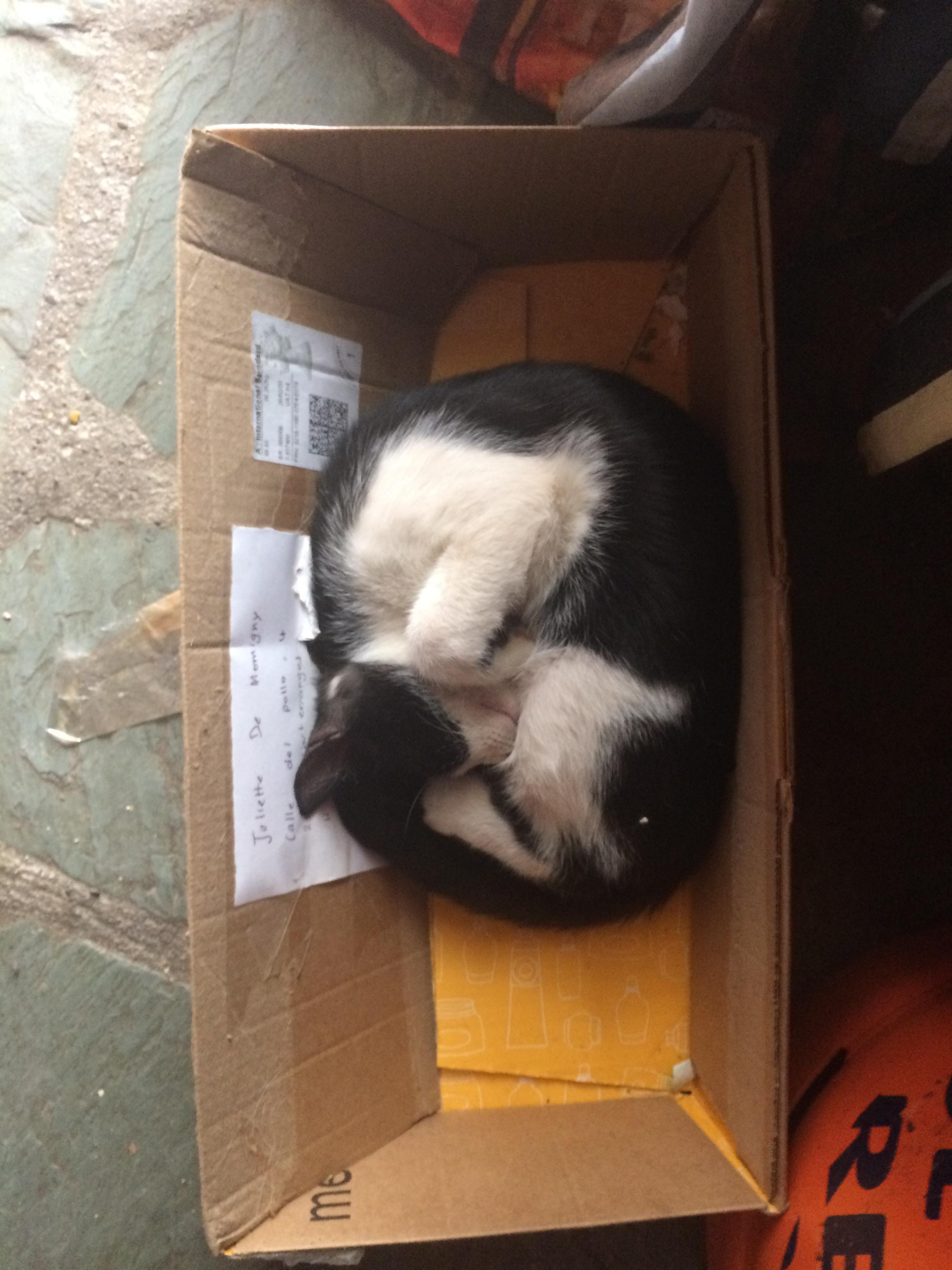 circle in rectangle | Scrolller