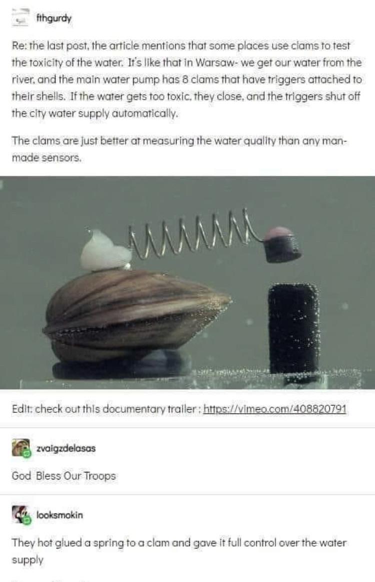 Discover more like Interesting: Clam controls water supply and Related Content | Scrolller