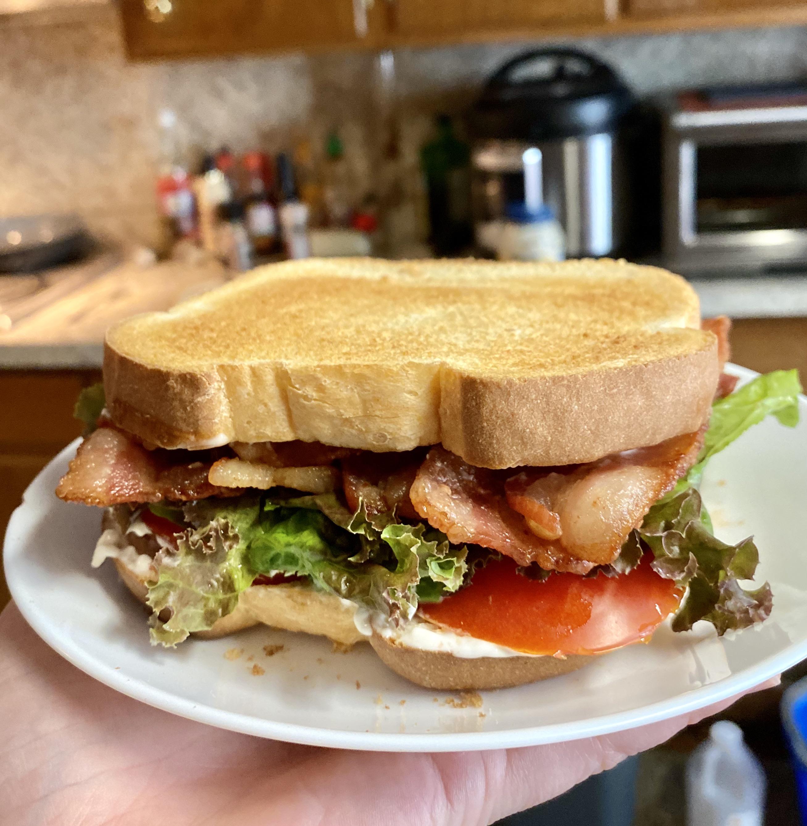 Classic BLT on white bread | Scrolller