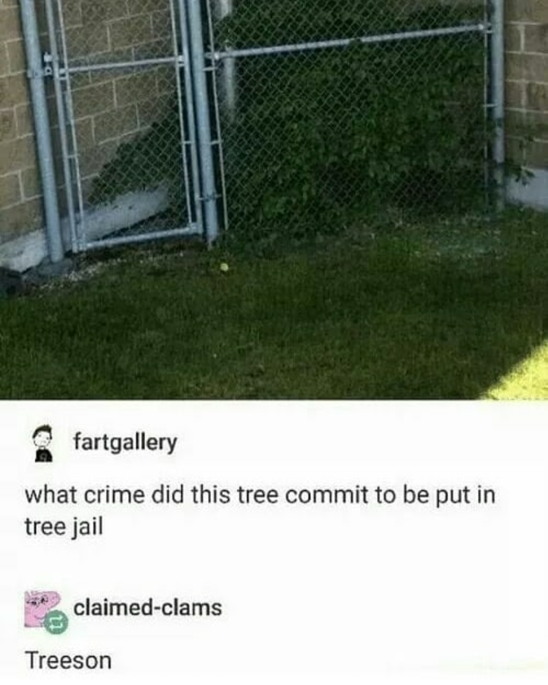 Classic Treeson Scrolller