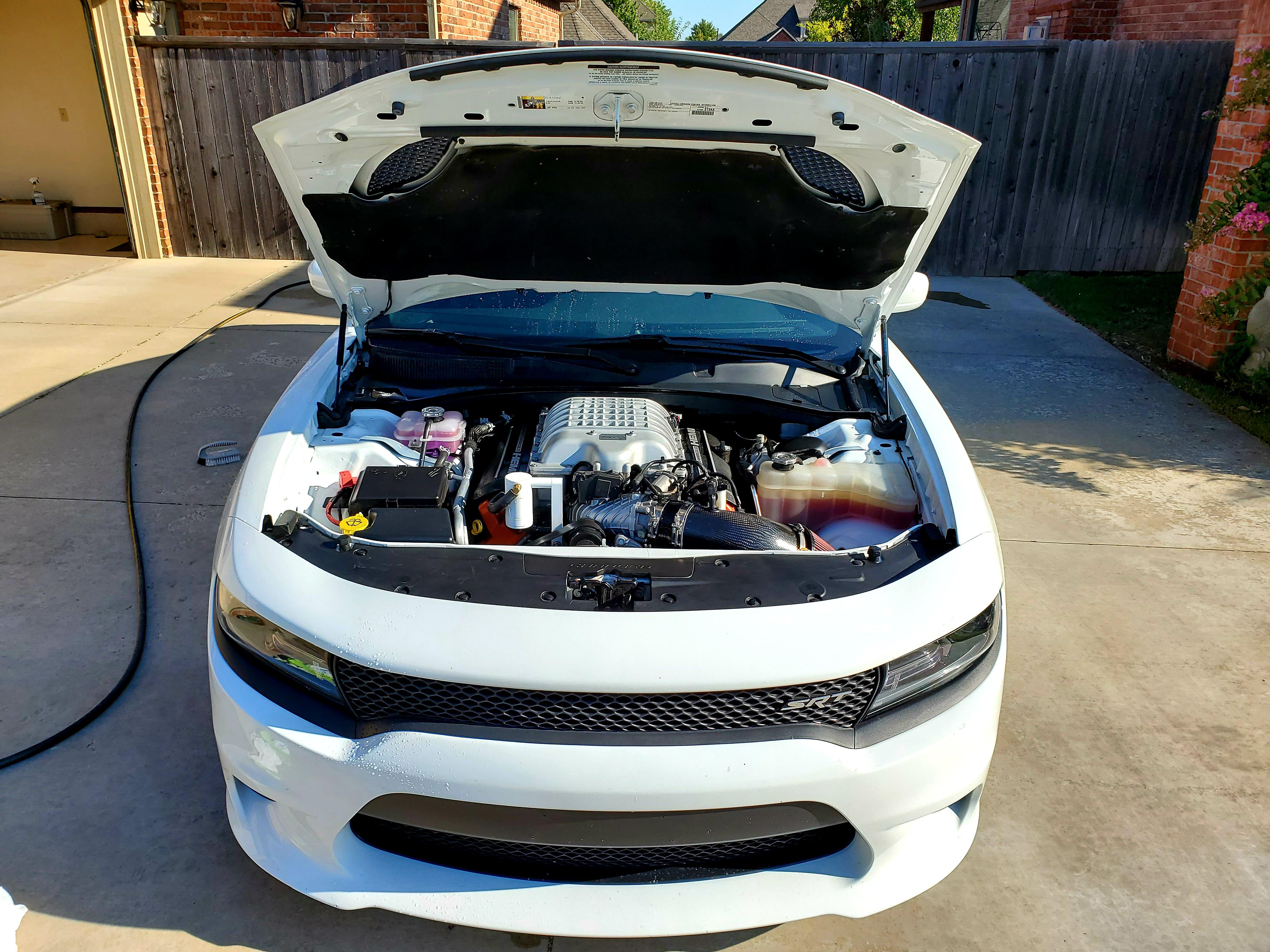 Cleaning day | Scrolller