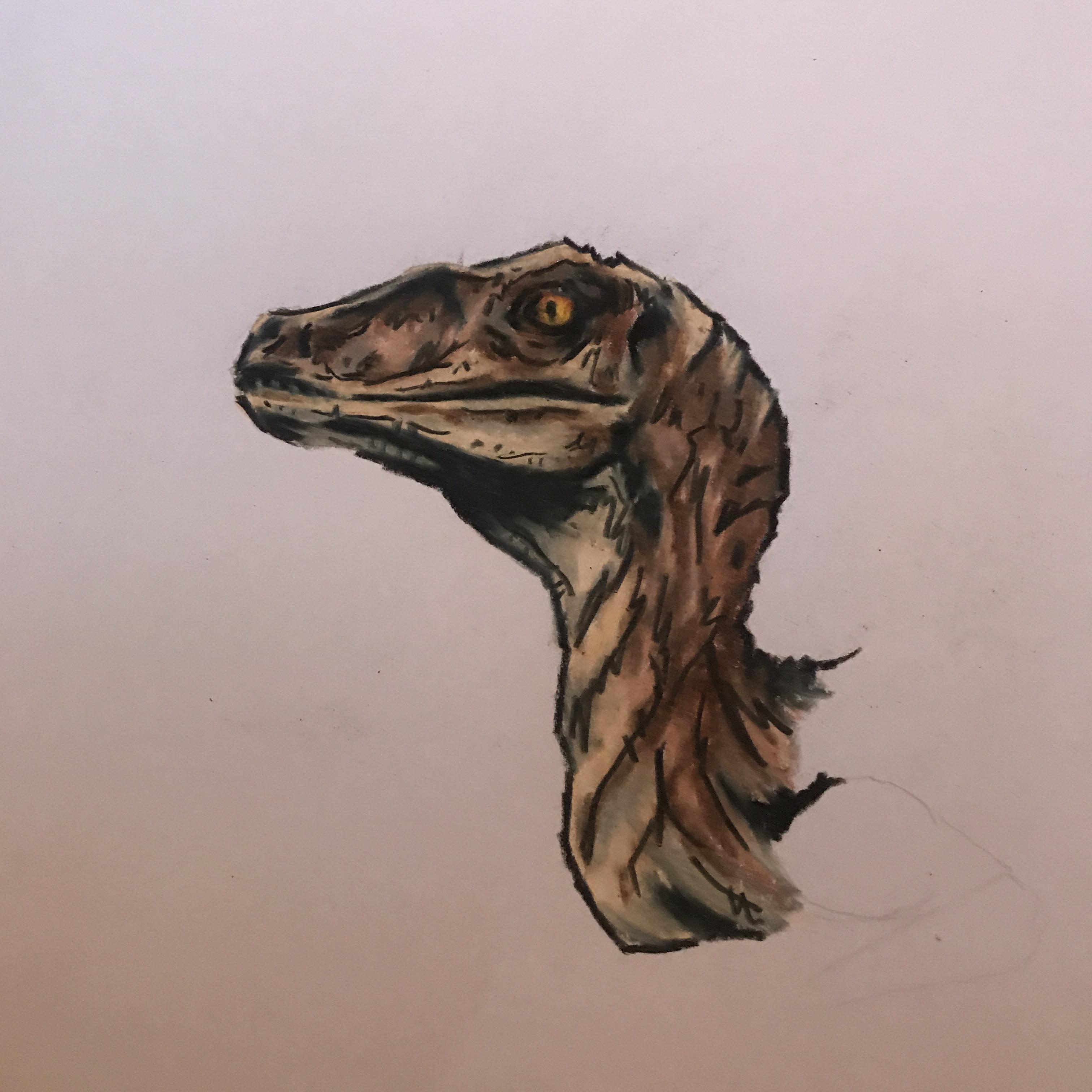 Clever Girl. Unfinished | Scrolller