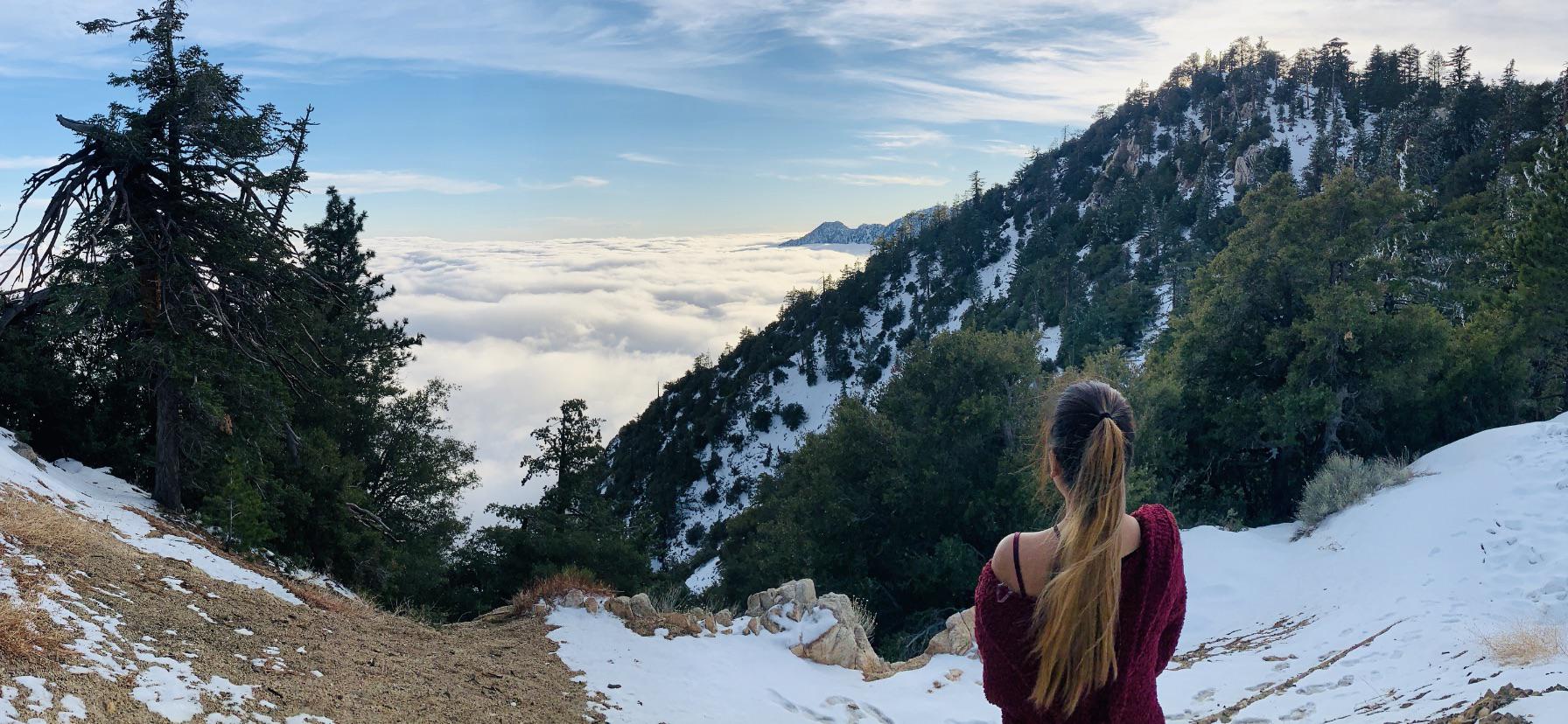 Cloud diving maybe? [OC] | Scrolller