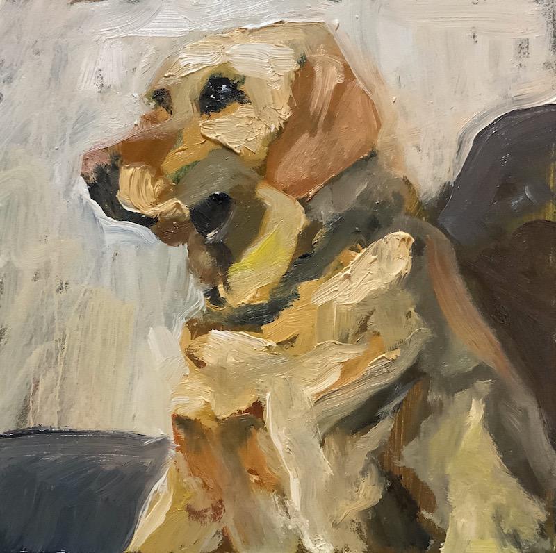 Cody. 6x6, Oil on Panel | Scrolller