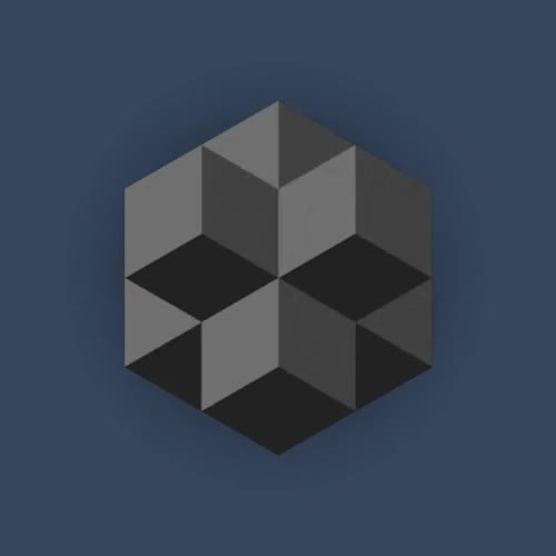 coerced perspective | Scrolller