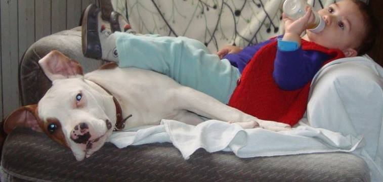 cold blooded killer Loki and my niece Tia | Scrolller