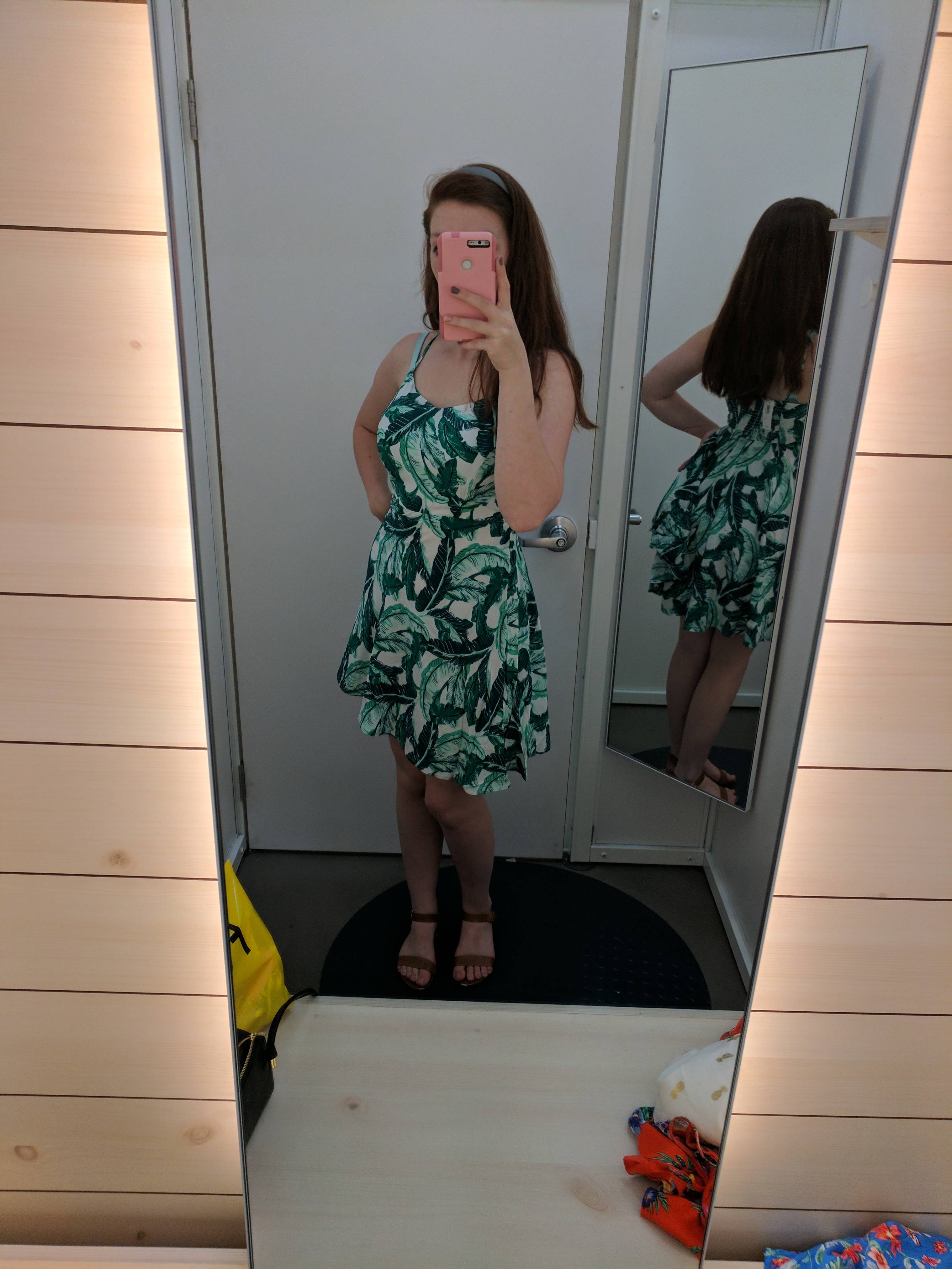 Come explore the forest | Scrolller