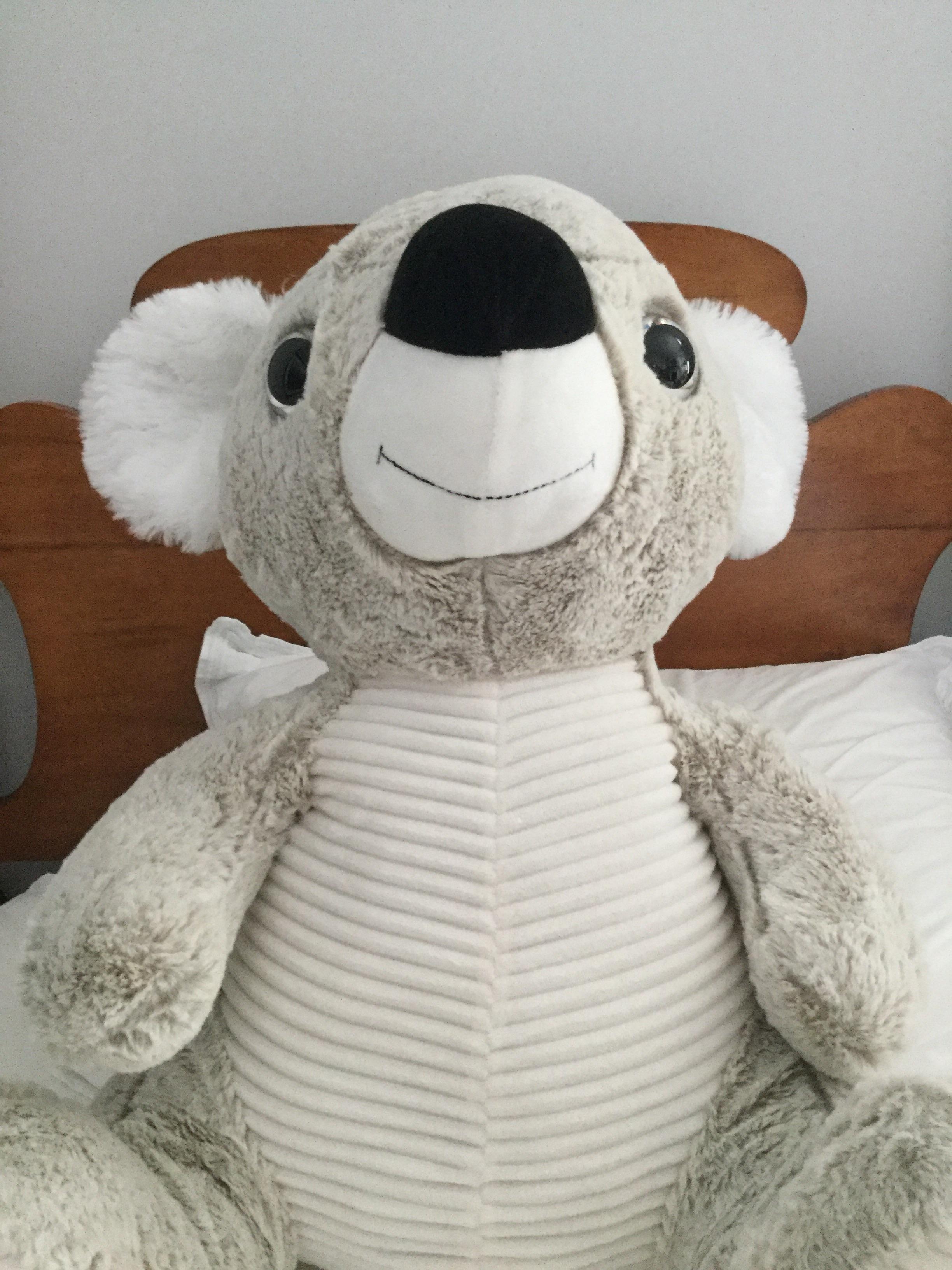 Comfy Creepy Cole the Koala | Scrolller