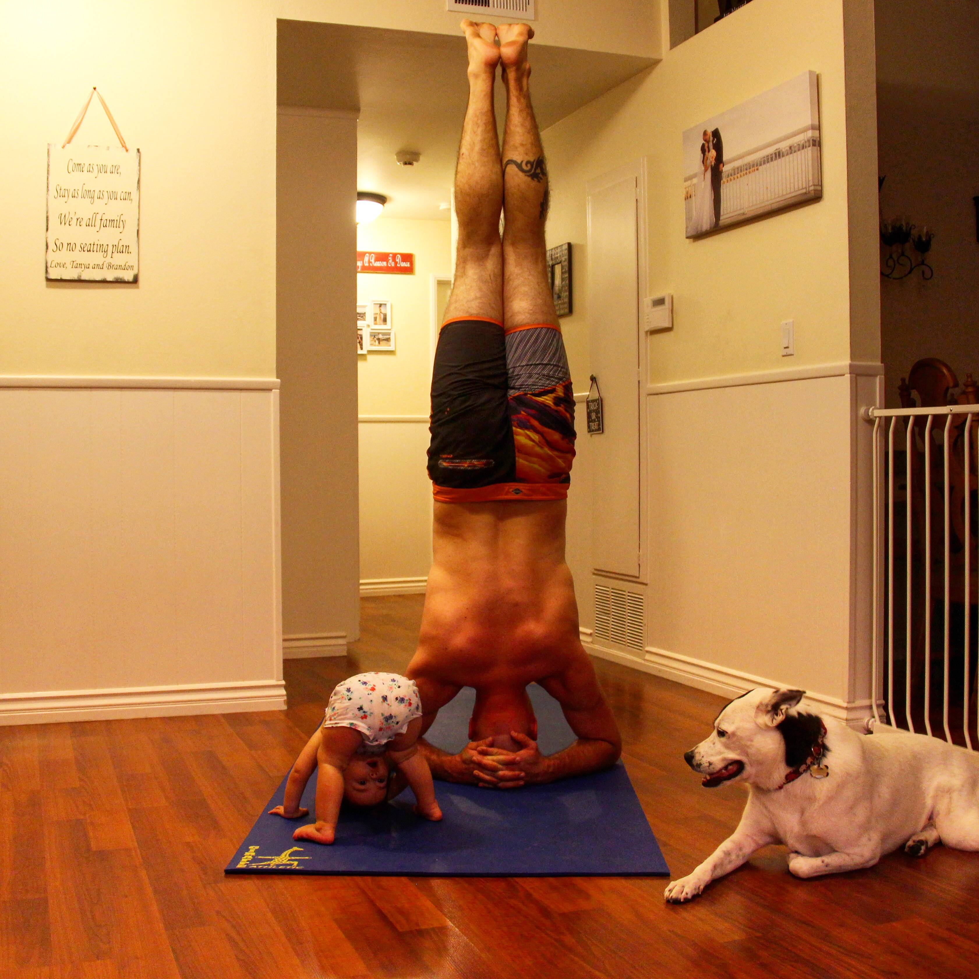 [COMP] Headstand - Monkey See, Monkey Do | Scrolller