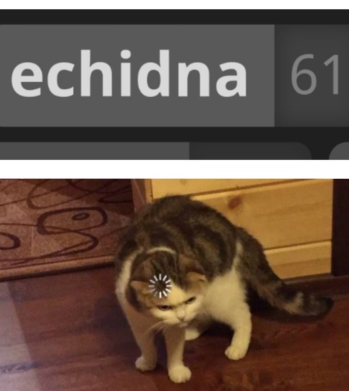 Confused, confusing, confusion. | Scrolller