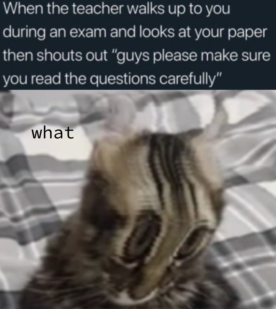 *confused screaming* | Scrolller