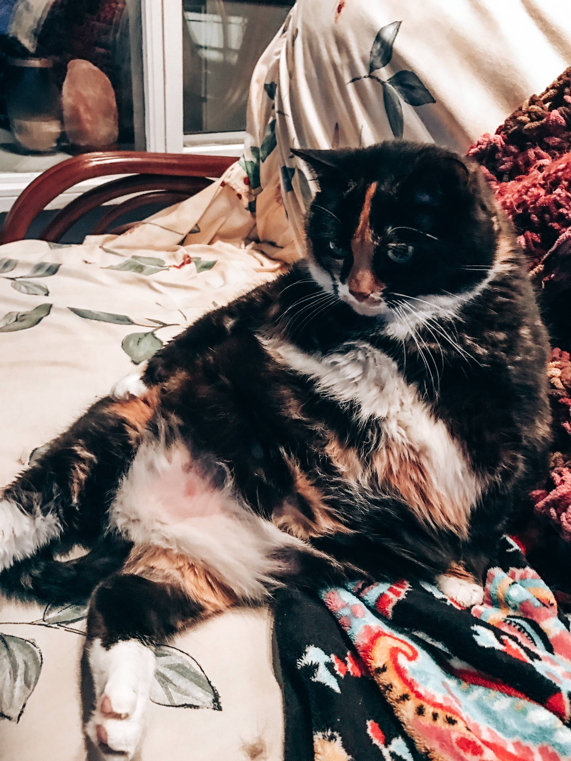 Contemplating her life choices | Scrolller