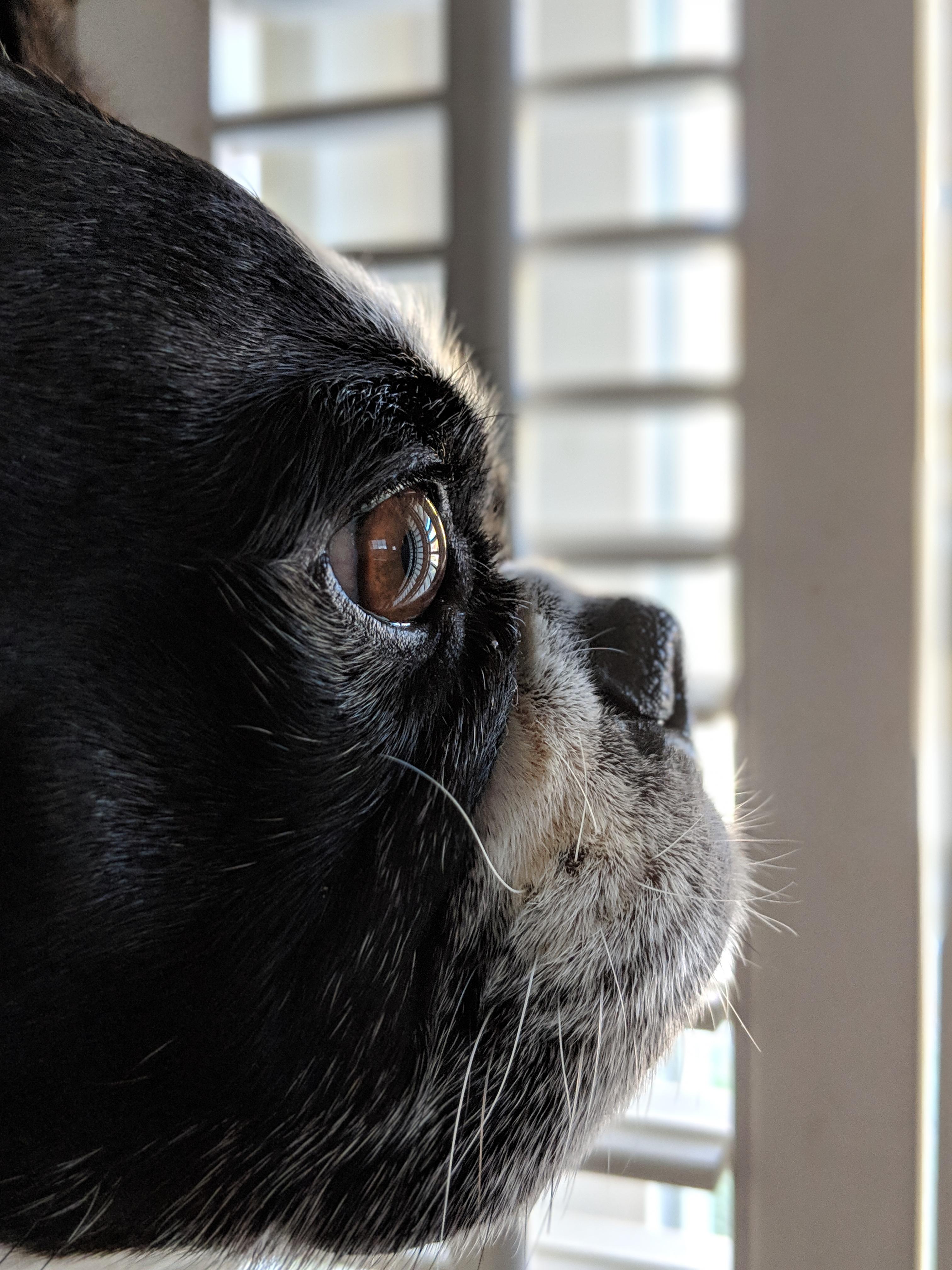 Contemplative | Scrolller