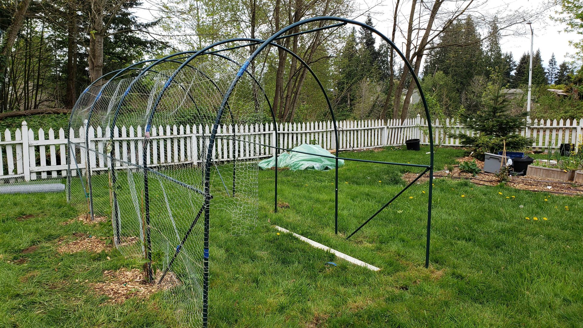 Converting greenhouse to food trellis / chicken coop | Scrolller