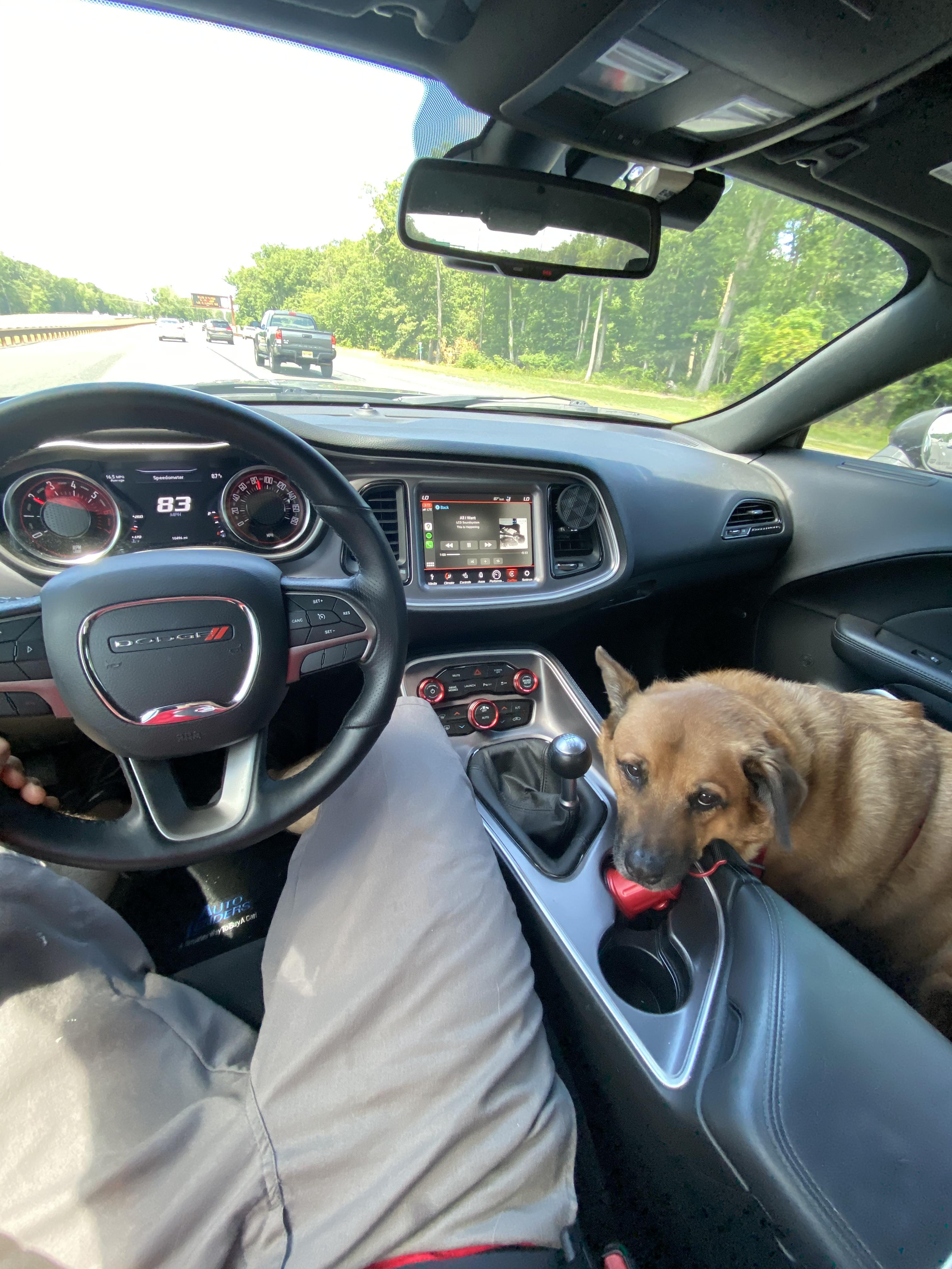 Copilot. | Scrolller