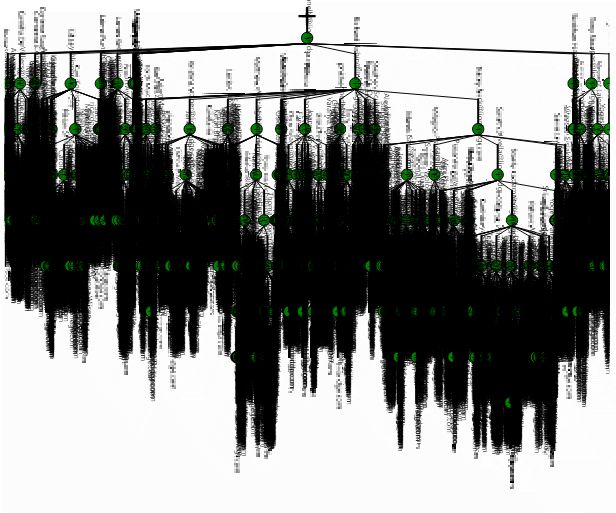 Corporate OrgChart | Scrolller