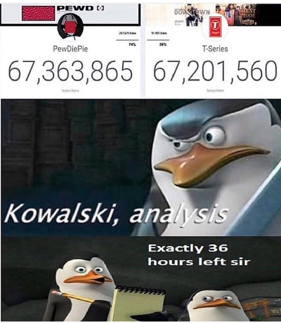 Count your blessings. | Scrolller