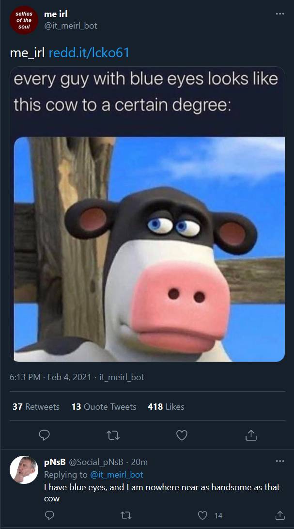 cow👀irl | Scrolller