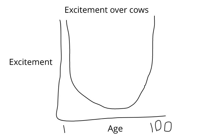 cows_irl | Scrolller