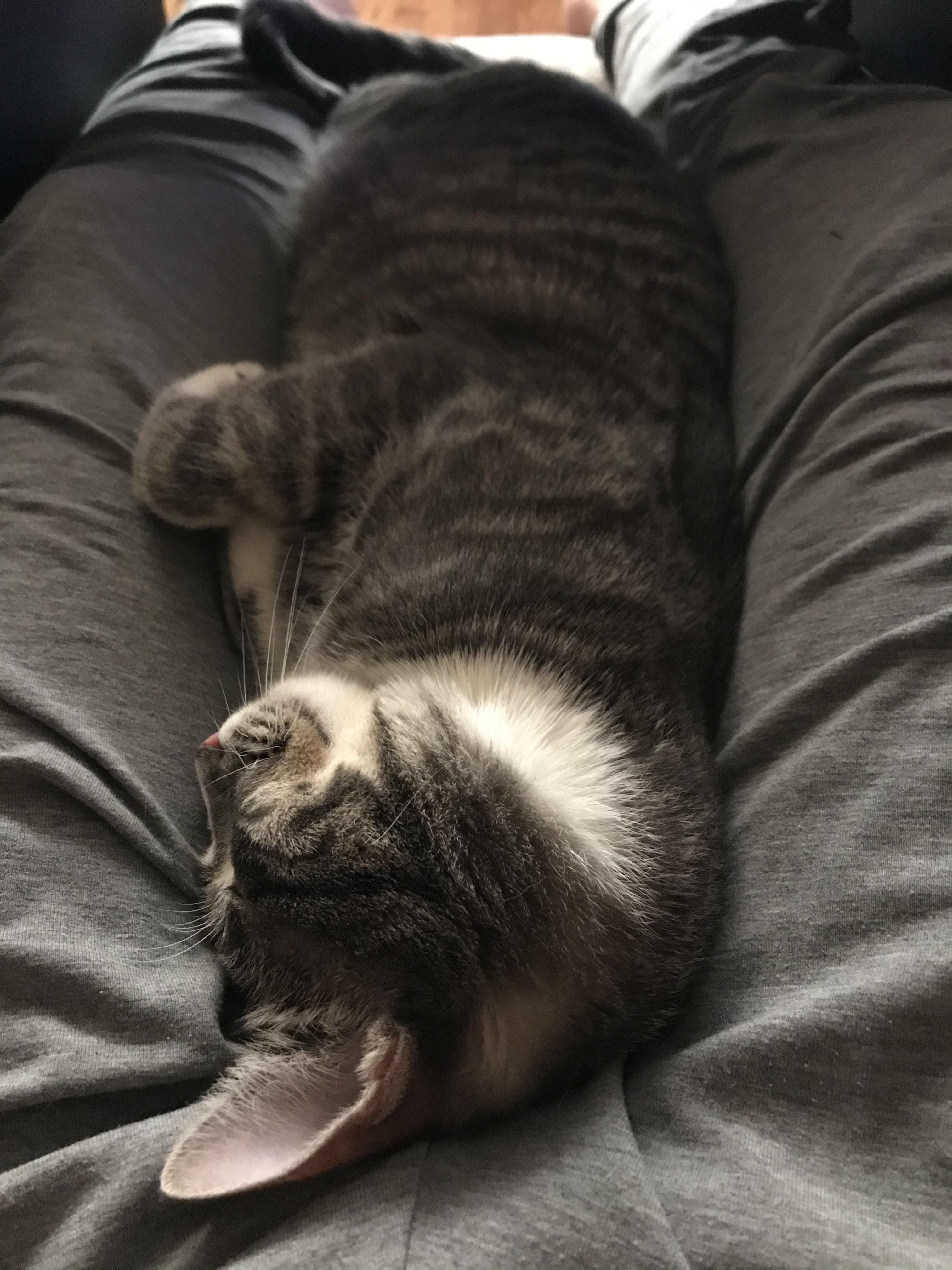 Cozy boy | Scrolller