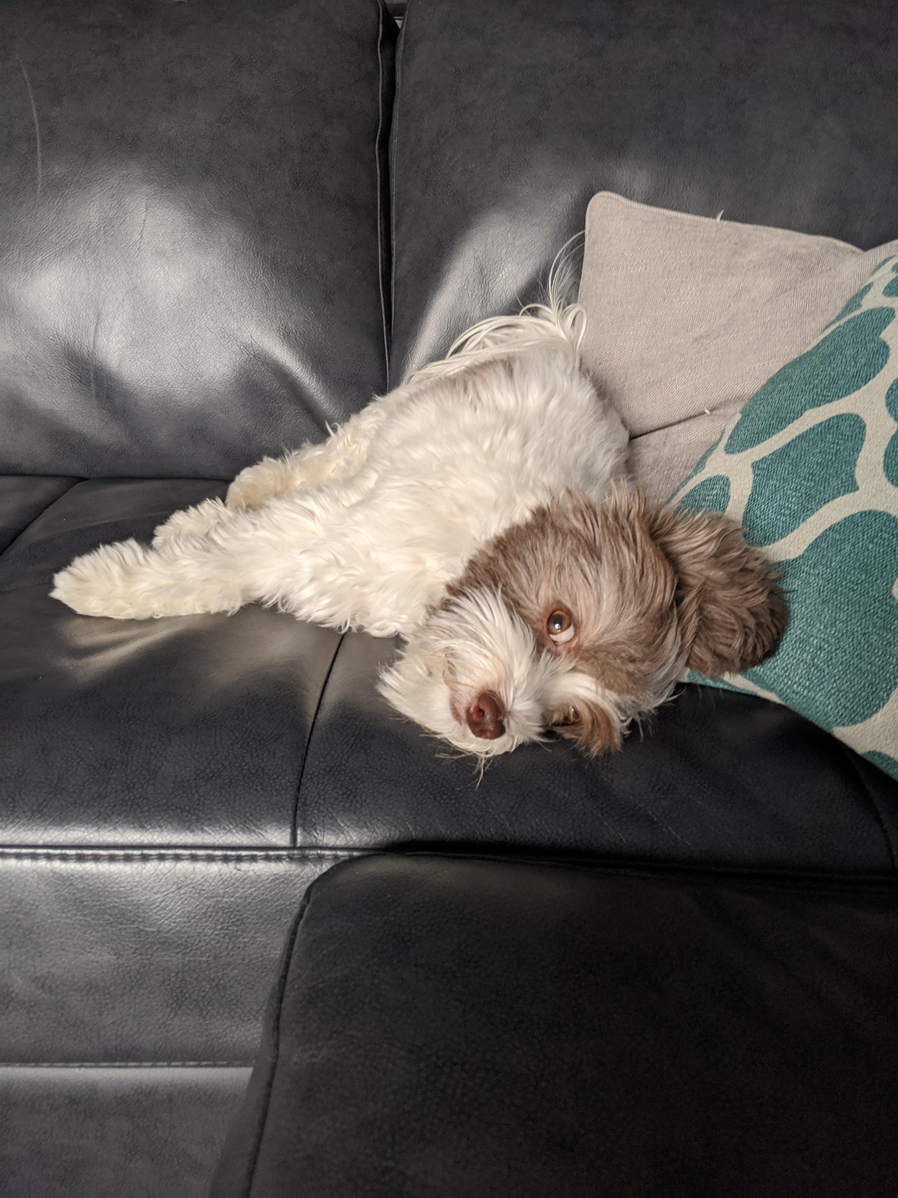 Cozy Friday. | Scrolller