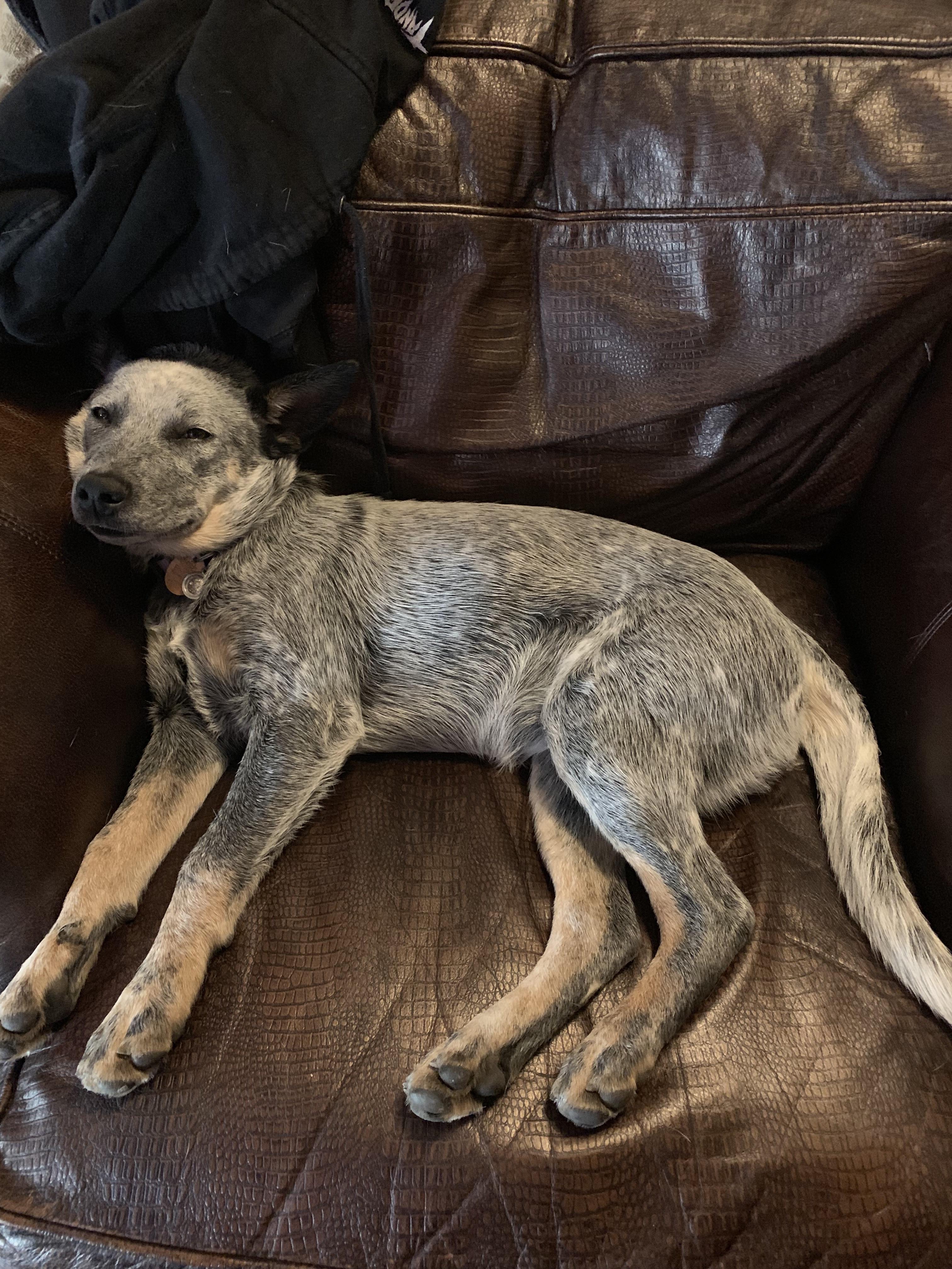 Cozy girl Nova ... | Scrolller