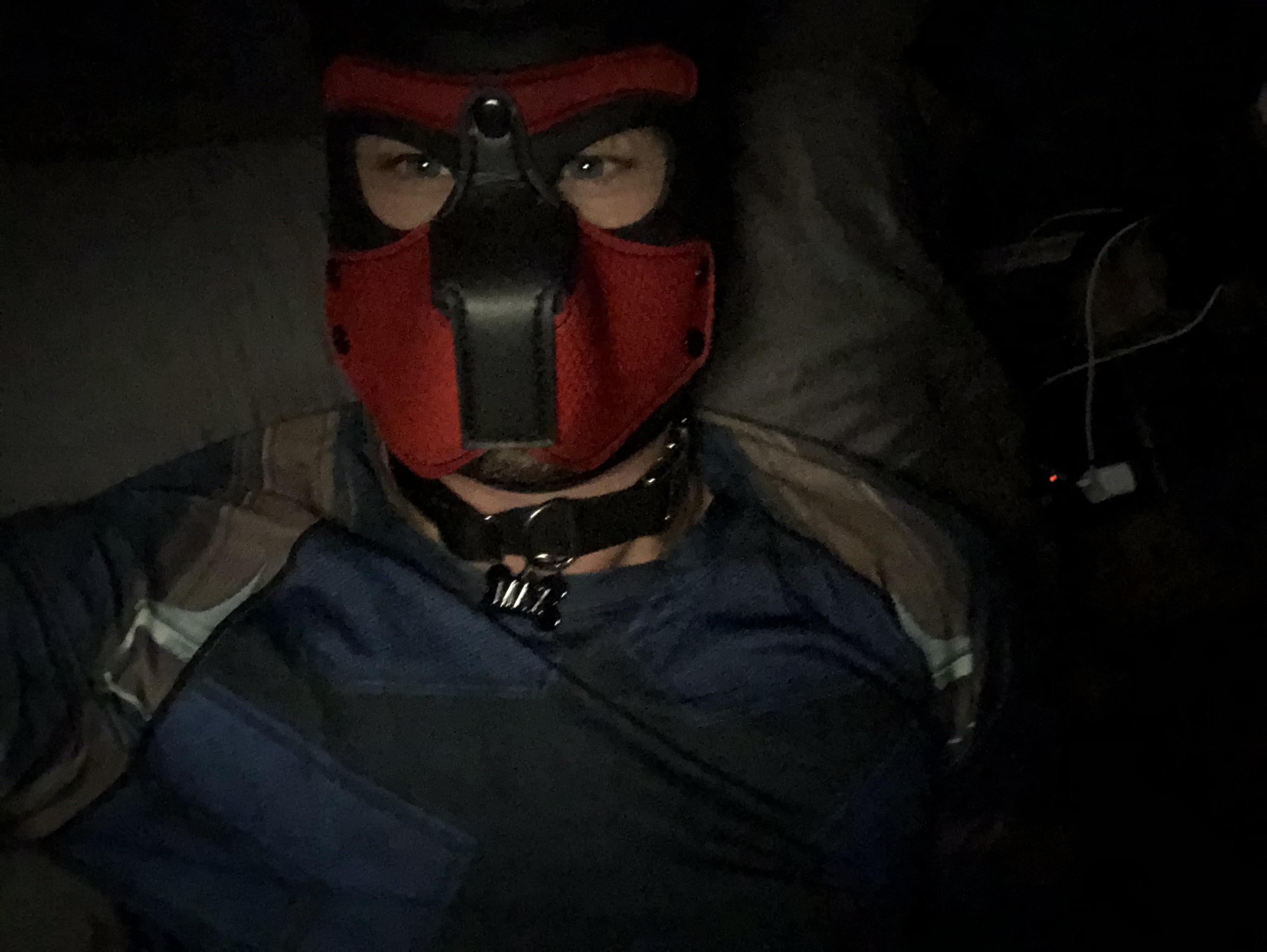 Discover more like PupPlay: Cpt max and Related Content | Scrolller