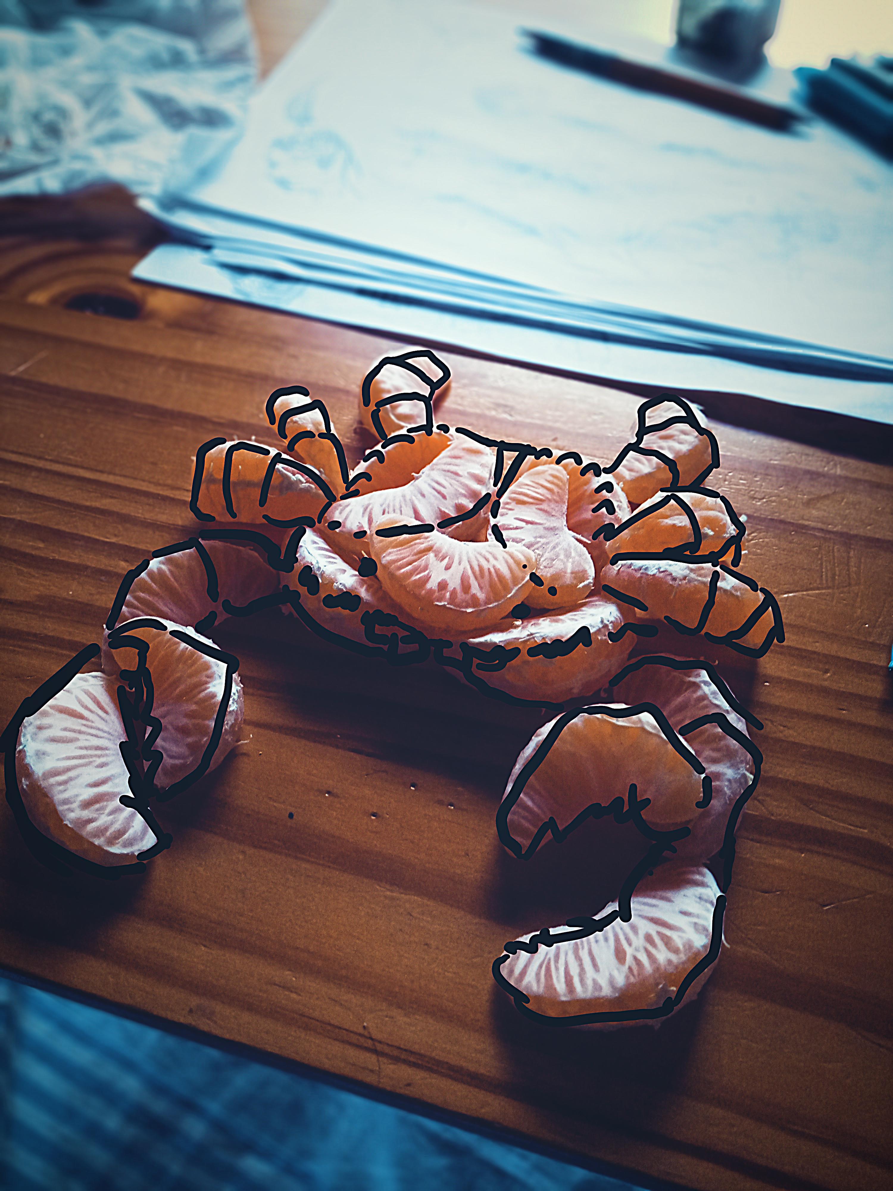 Crab, Me, Tangerine, 2020 | Scrolller