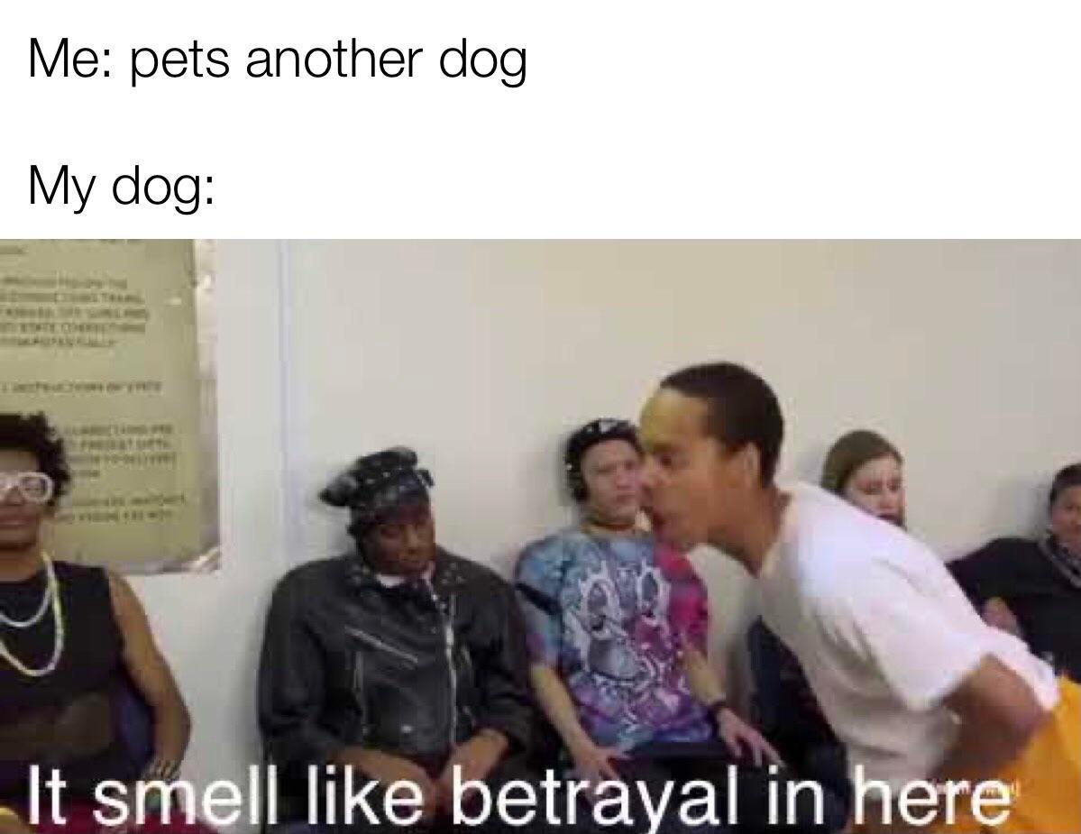 The ultimate betrayal | Scrolller