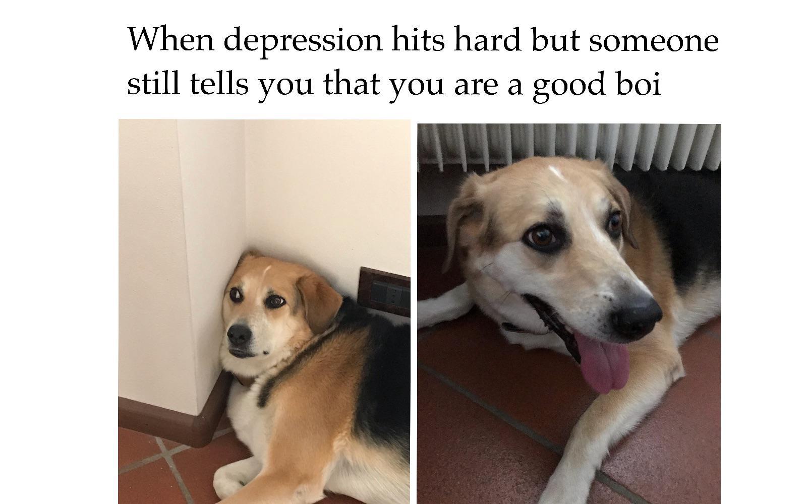 Created a new meme format for r/wholesomememes | Scrolller