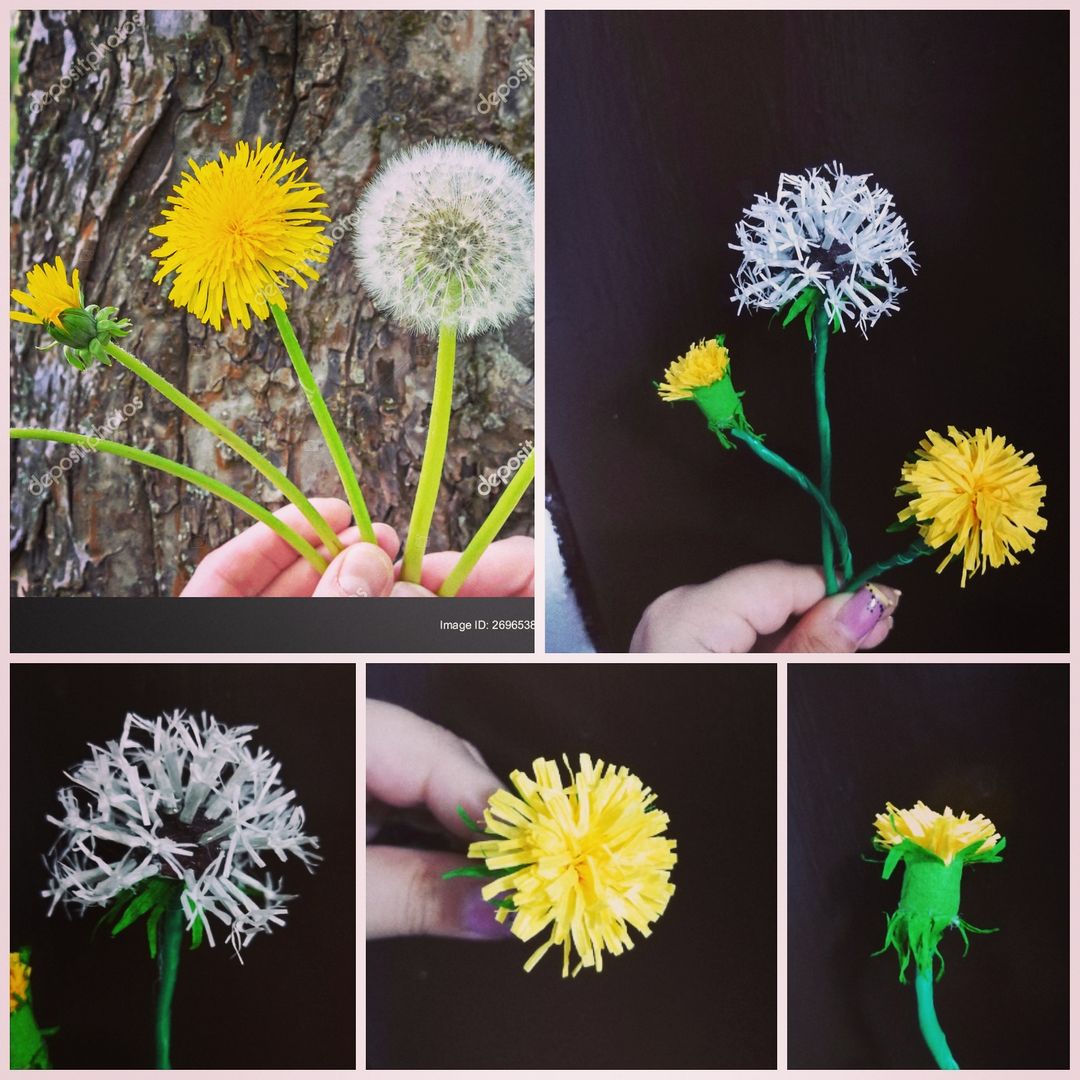 Crepe paper dandelion in 3 stages | Scrolller