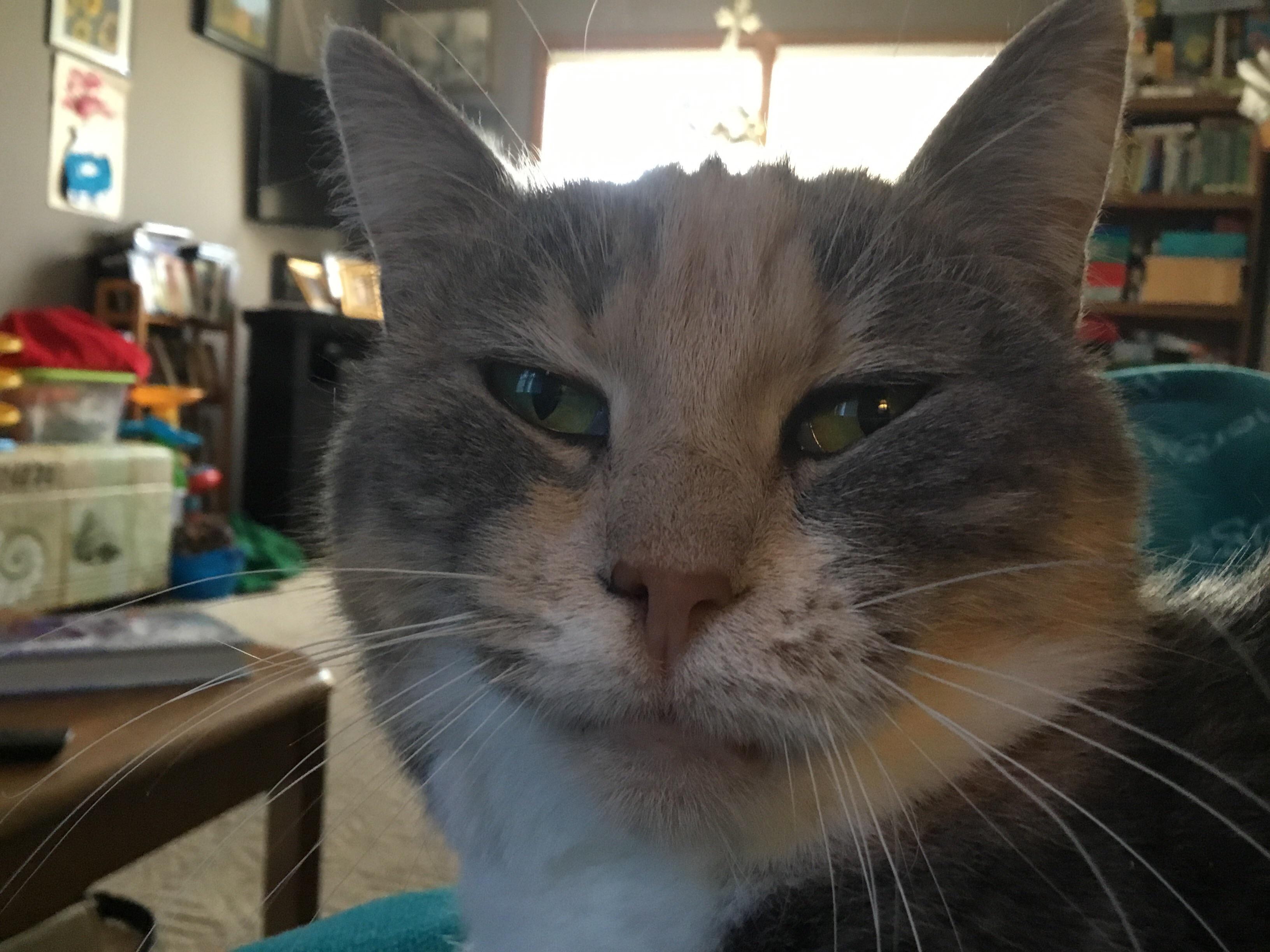 Cross-eyed. | Scrolller