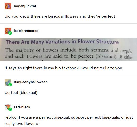 Crosspost from r/tumblr | Scrolller
