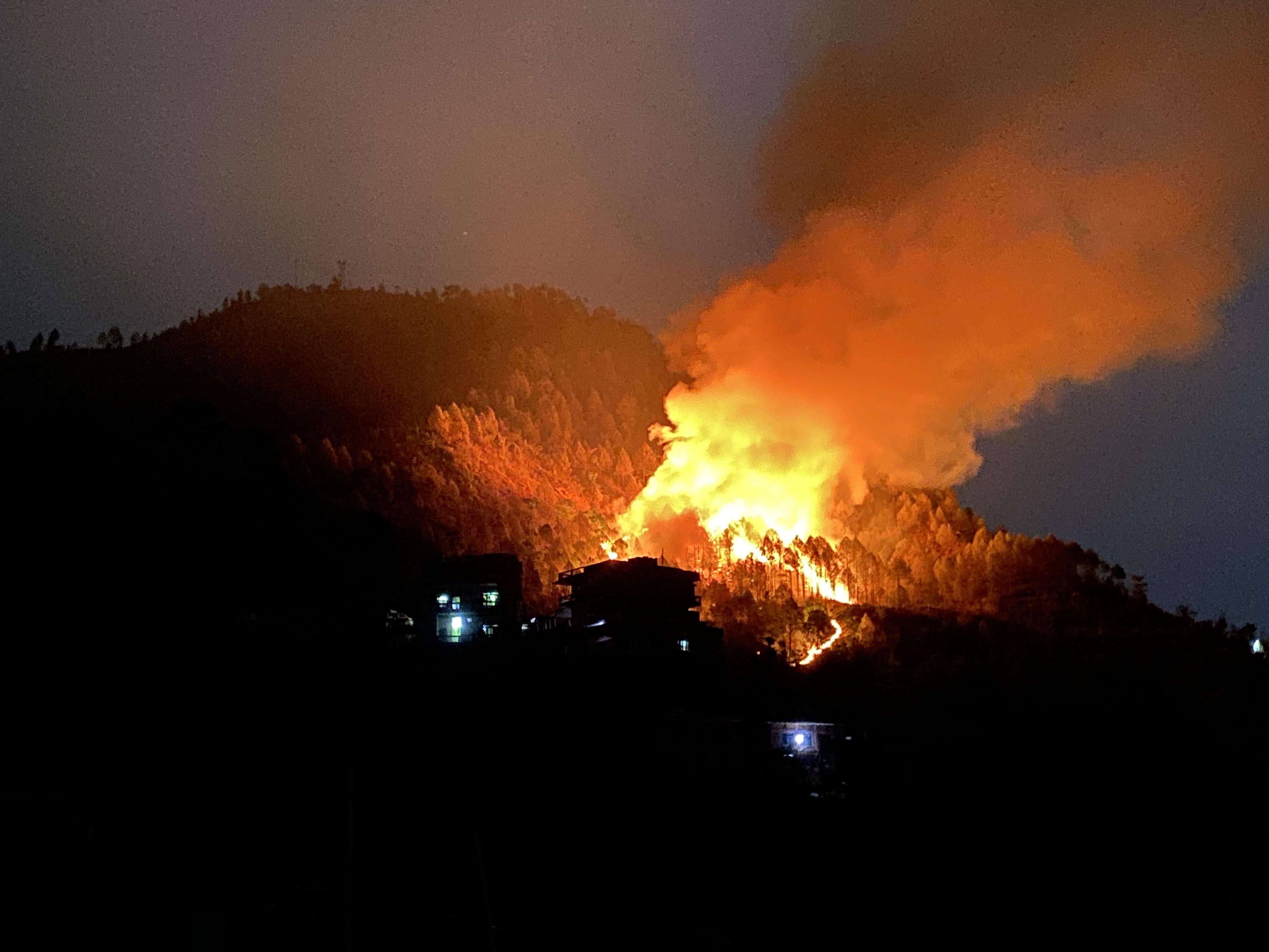 Crown burning. | Scrolller