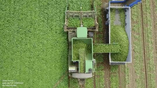 Cucumber harvester looks very zen from above | Scrolller