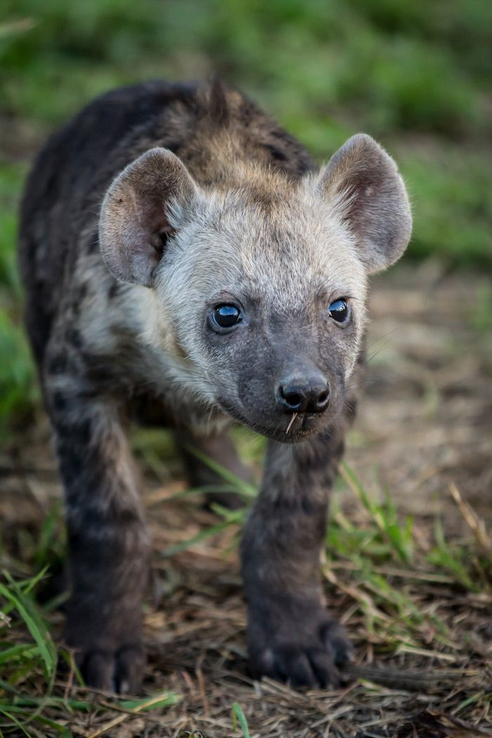 Curious little guy. | Scrolller