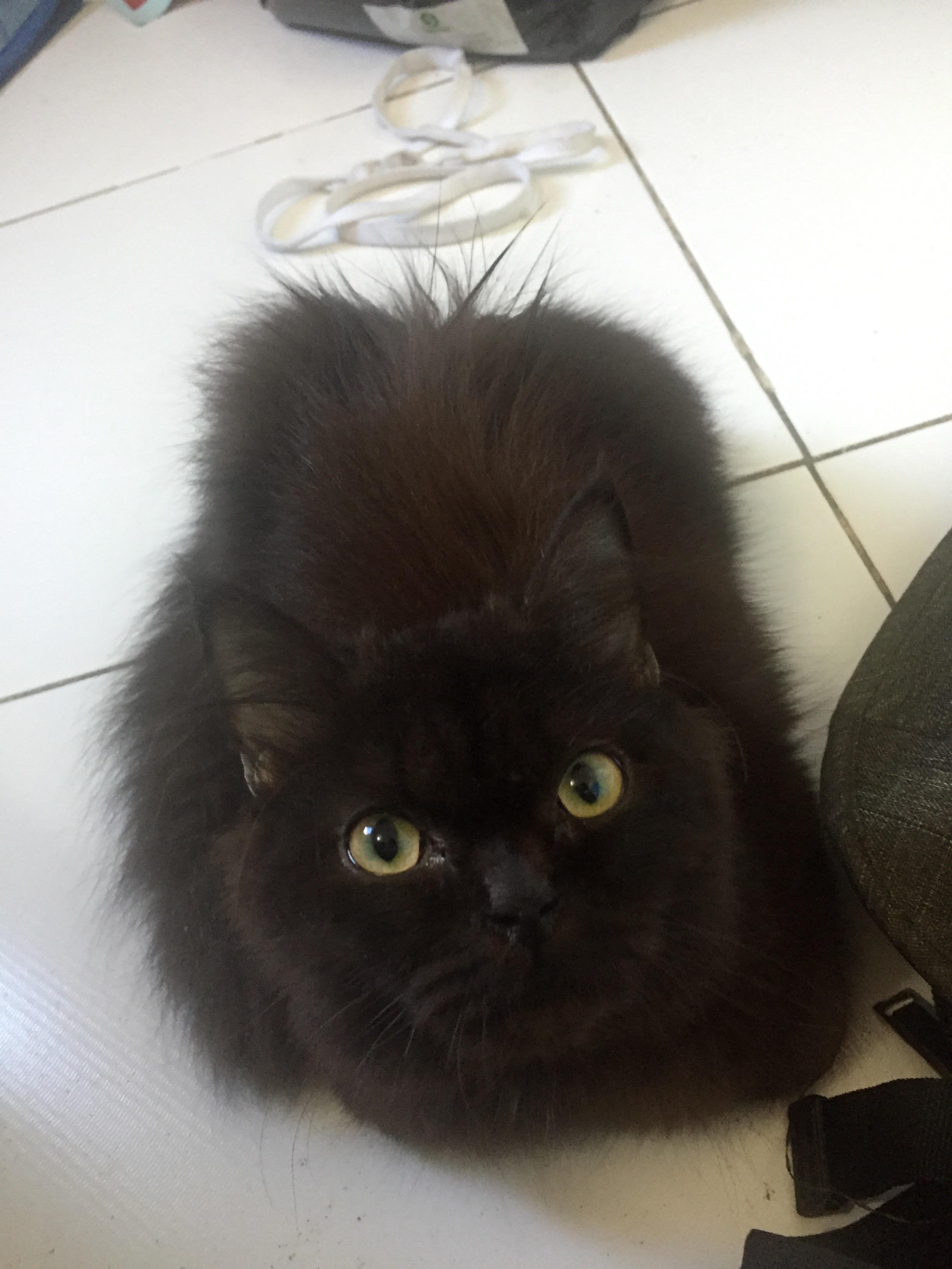 Curious loaf | Scrolller