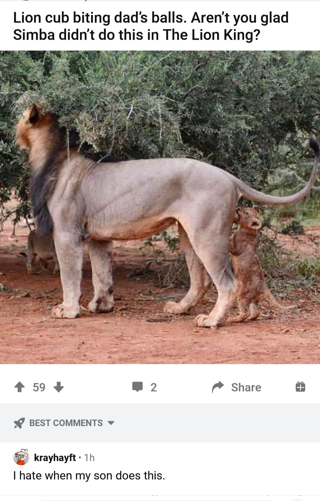 cursed balls | Scrolller