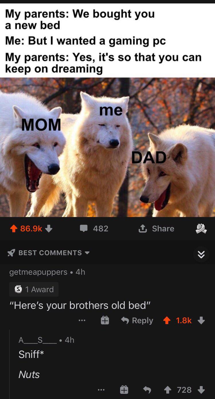 Cursed_bed | Scrolller