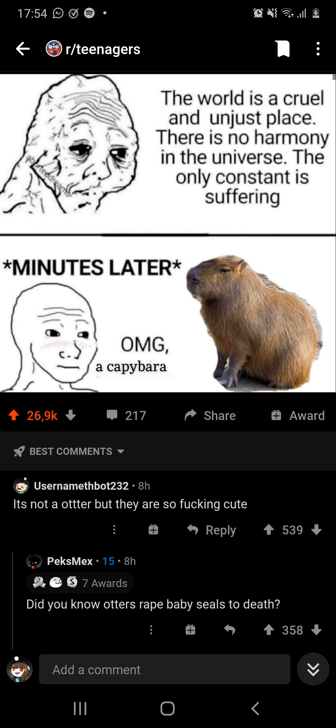 Cursed capybara | Scrolller