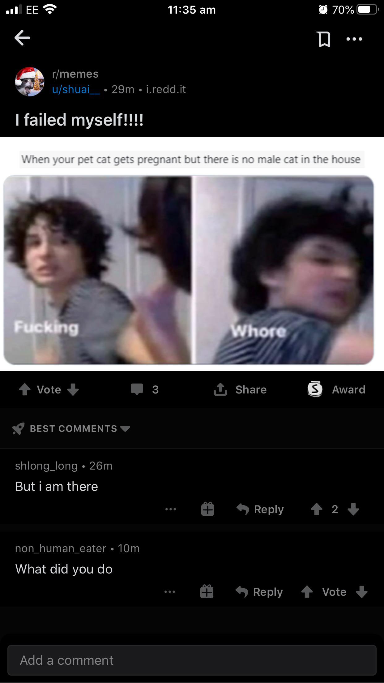 Cursed cat | Scrolller