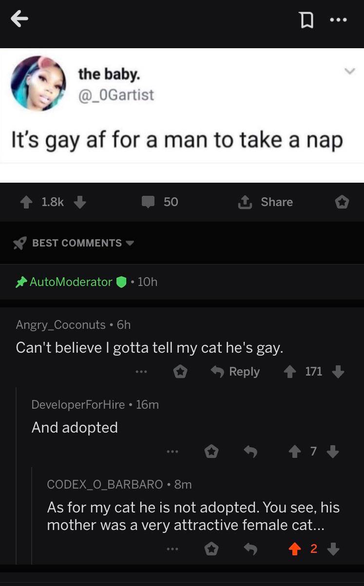 Cursed_Cat | Scrolller