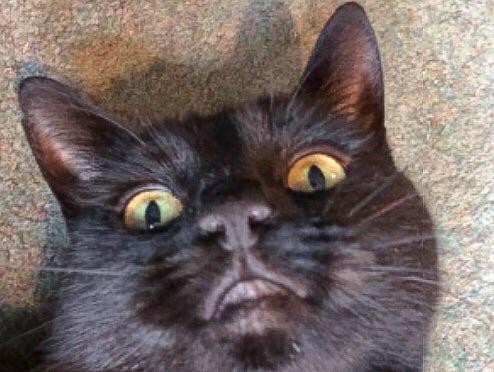 cursed close-up | Scrolller