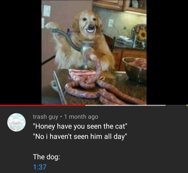 Cursed dog | Scrolller