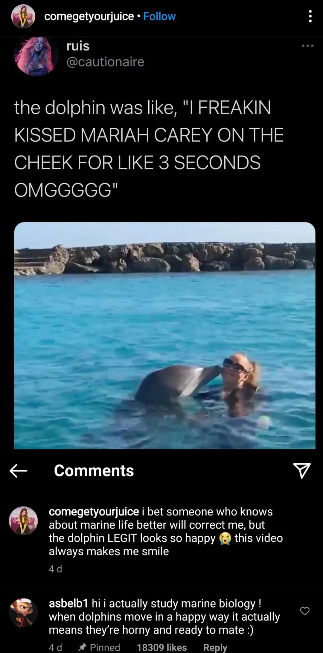 Cursed_Dolphin | Scrolller