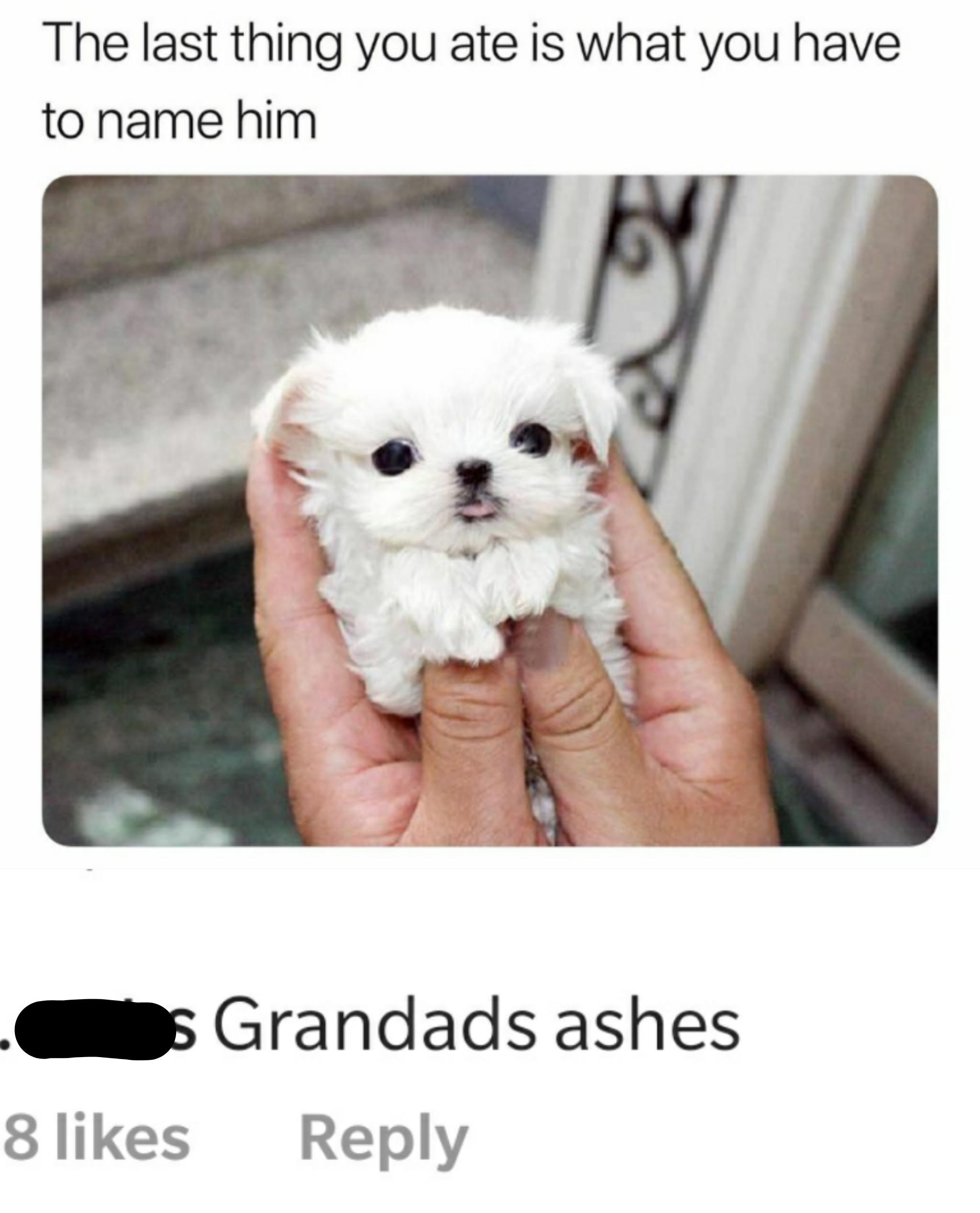 cursed_family relationship | Scrolller