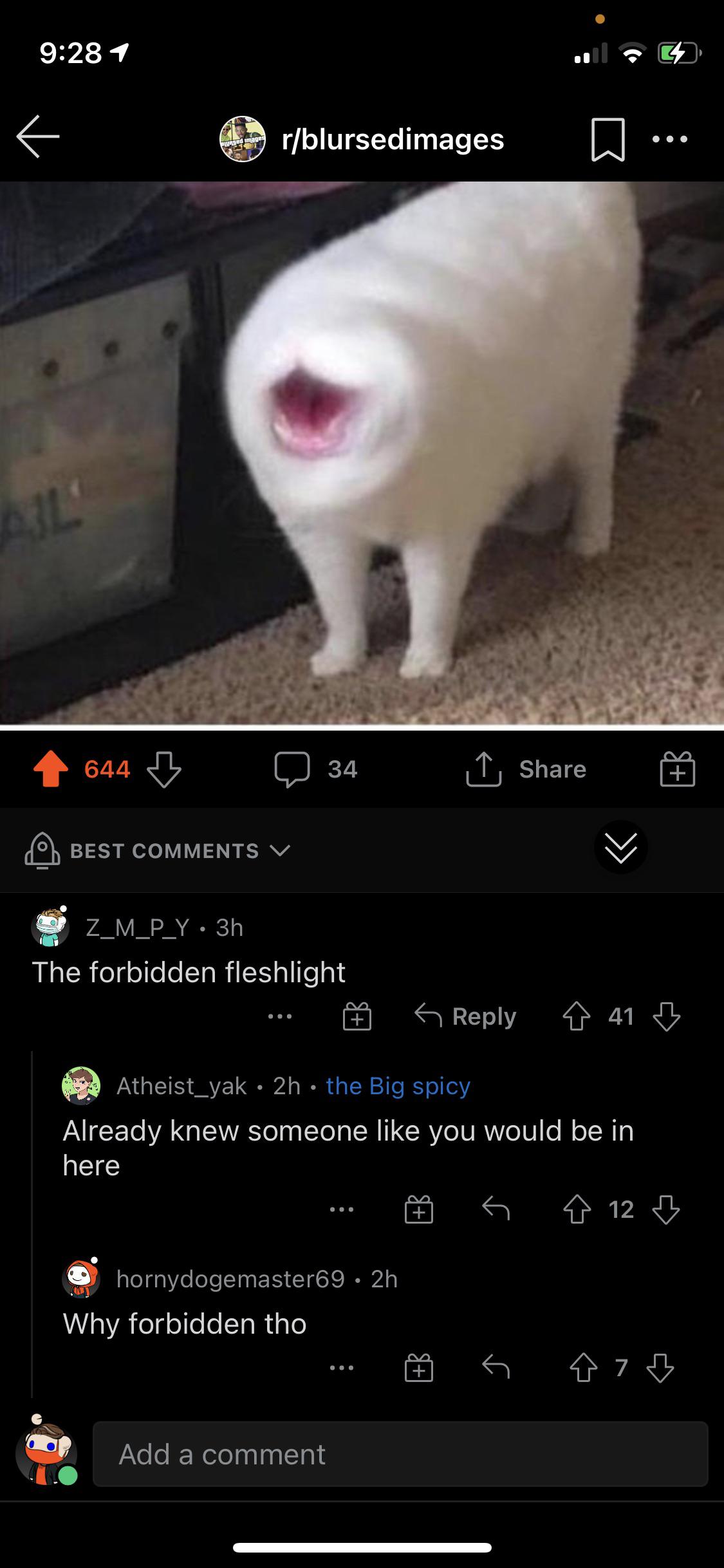 Cursed_Fleshlight | Scrolller