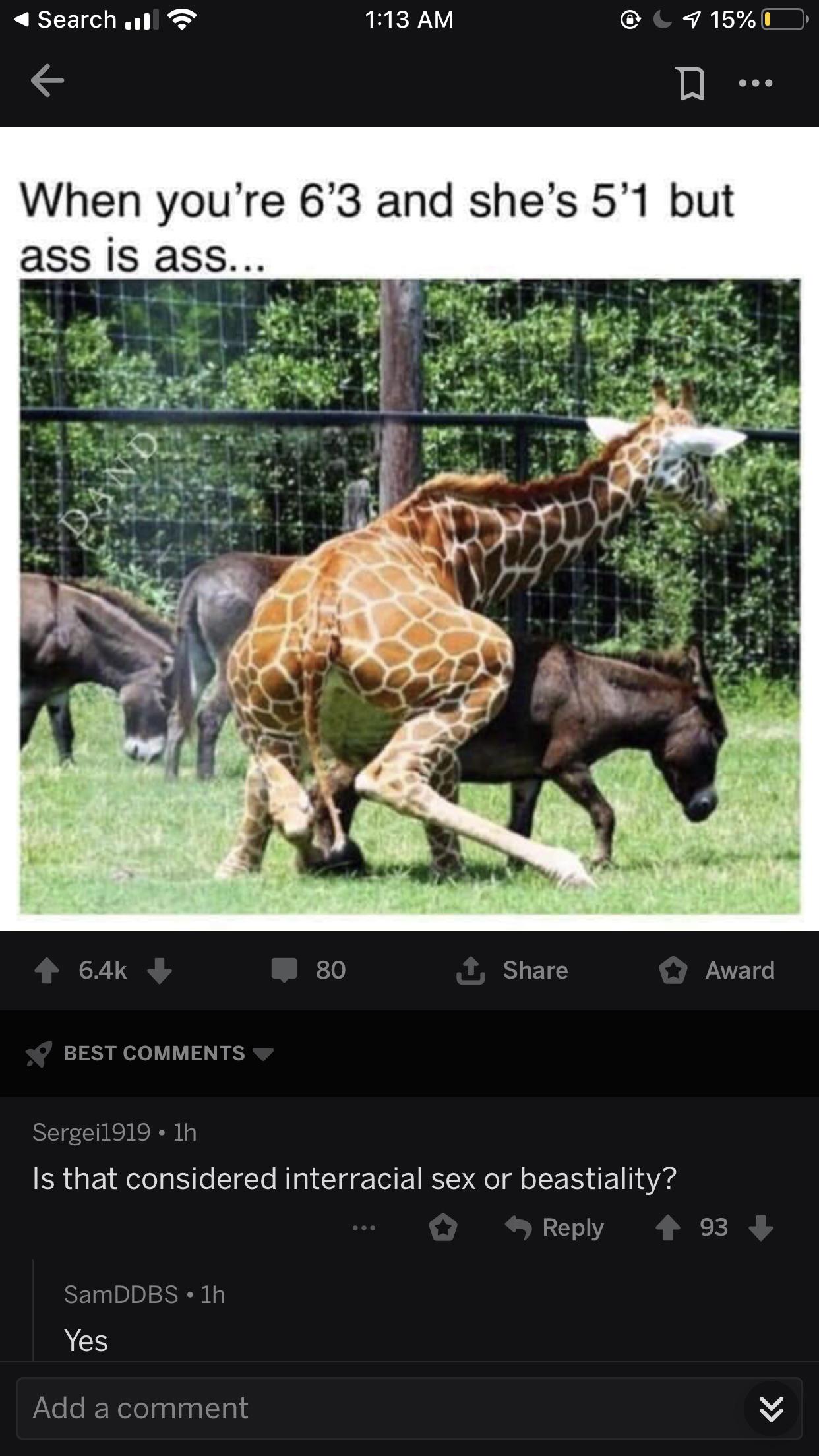 cursed giraffe | Scrolller