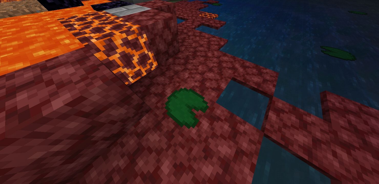 Cursed lily pad | Scrolller