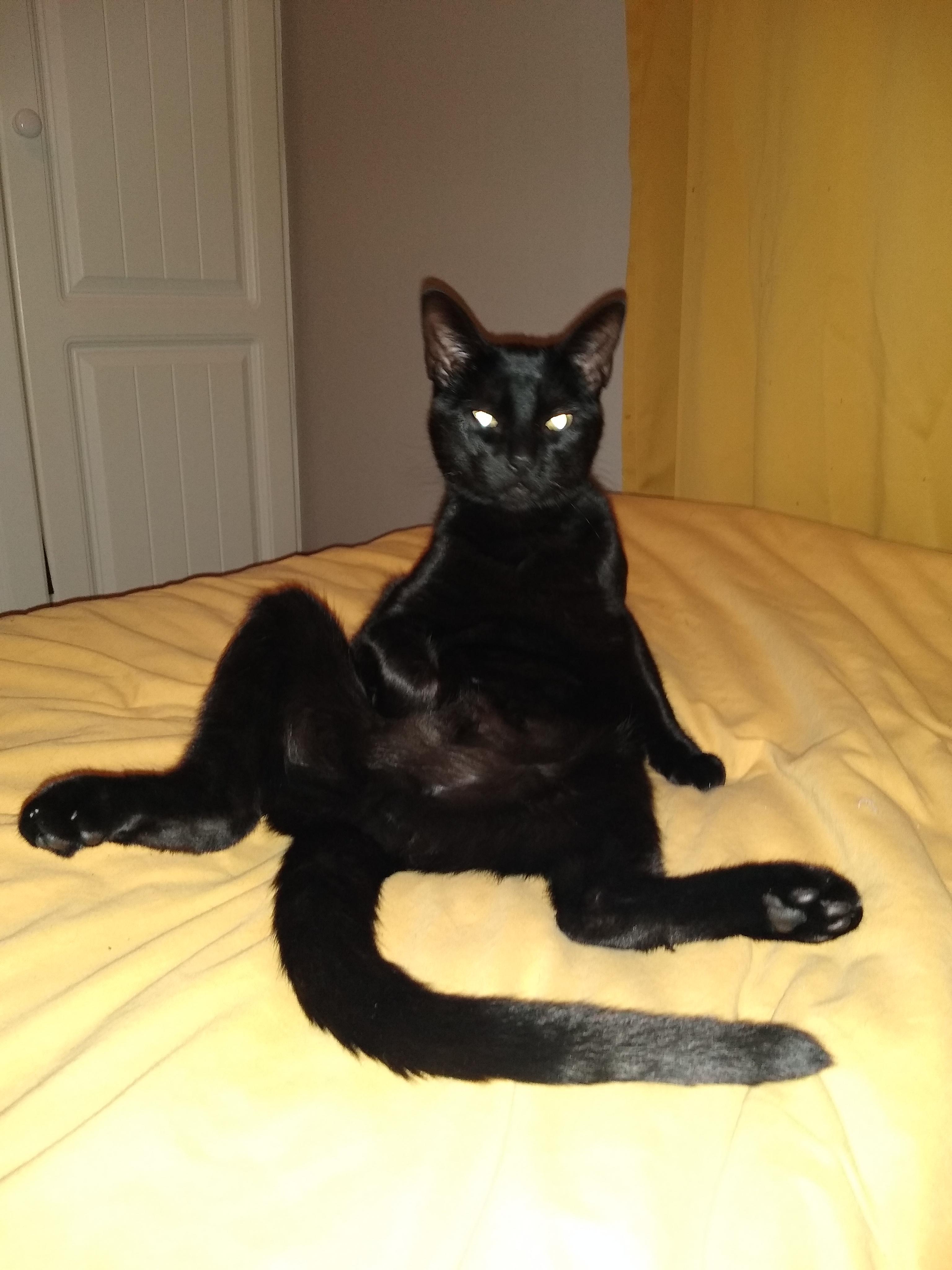 Cursed_OnlyFans | Scrolller